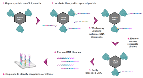 DNA-Encoded Library (DEL) Screening | SPT Labtech